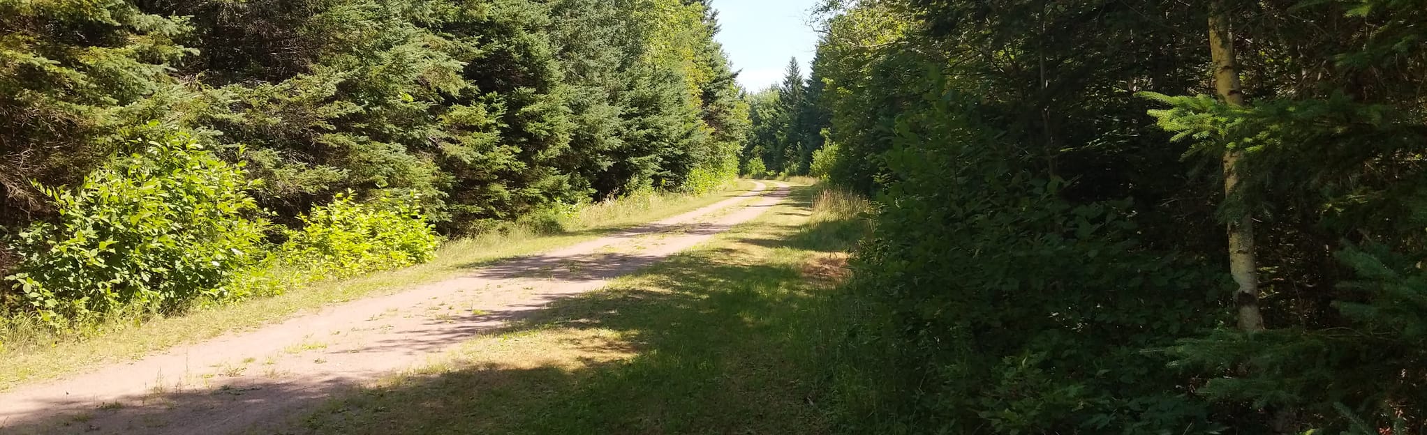 Confederation Trail: Hunter River to Breadalbane, Prince Edward Island ...