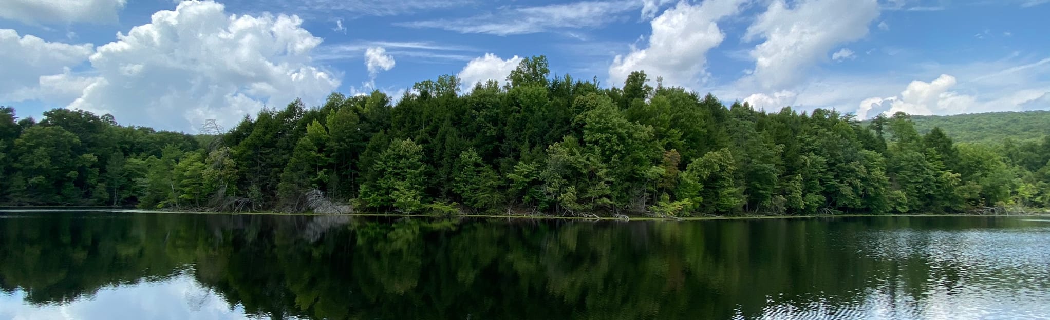 Chinquapin Trail and Lakeside Loop Trail: 125 Reviews, Map - Tennessee ...