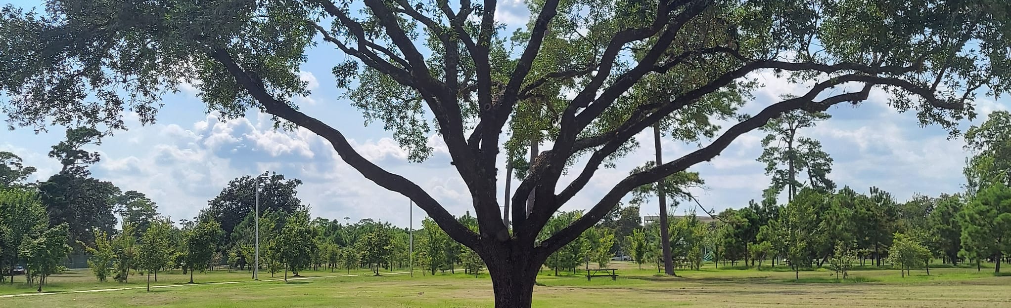 MacGregor Park, Texas - 19 Reviews, Map | AllTrails