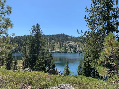 2023 Best 10 Forest Trails in Blairsden Graeagle | AllTrails