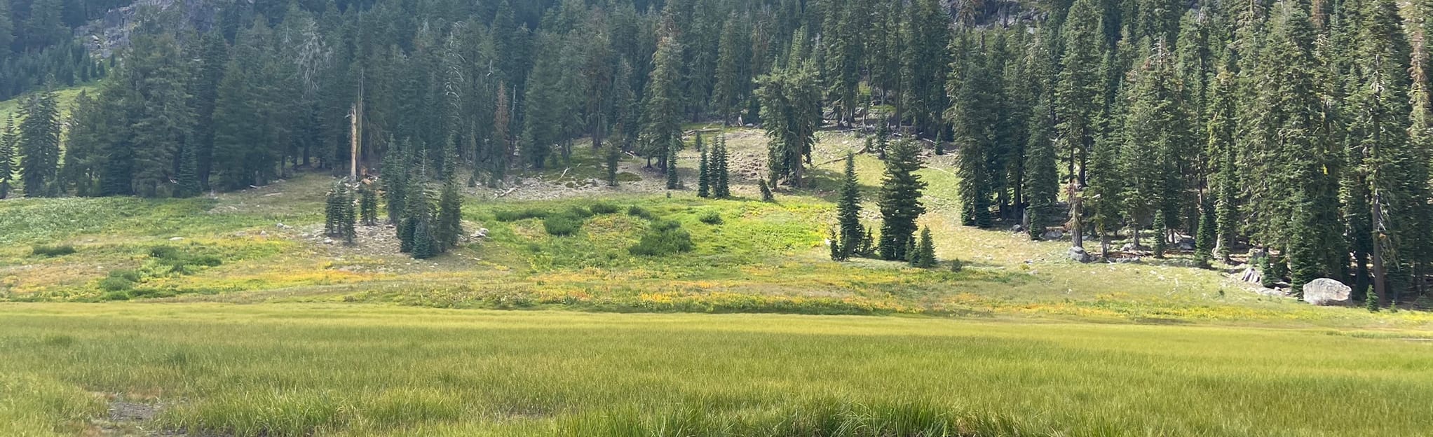 Cold Boiling Lake Trail to Bumpass Hell Trail - California | AllTrails