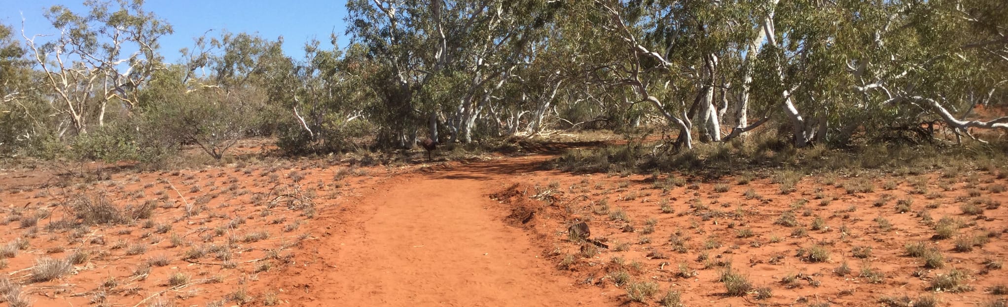 Bullara Station: Tin Can Walk: 9 Reviews, Map - Western Australia ...