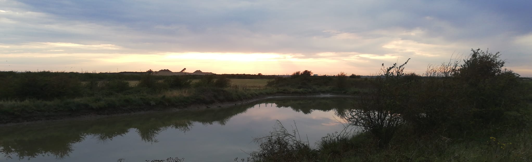 Cliffe Pools Circular Walk: 60 Reviews, Map - Kent, England | AllTrails