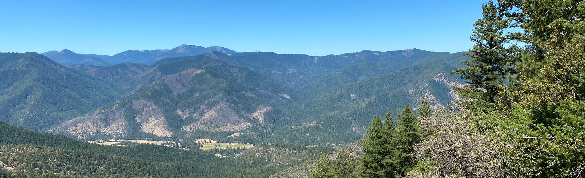 Charlie Buck Baldy Peak to Mule Mountain Trail: 32 Reviews, Map ...