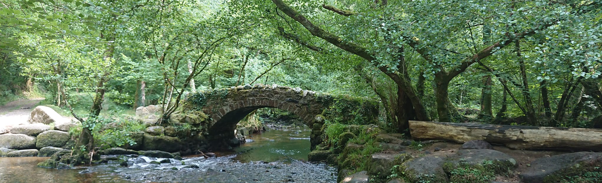Pullabrook Woods Circular, Devon, England - 140 Reviews, Map | AllTrails