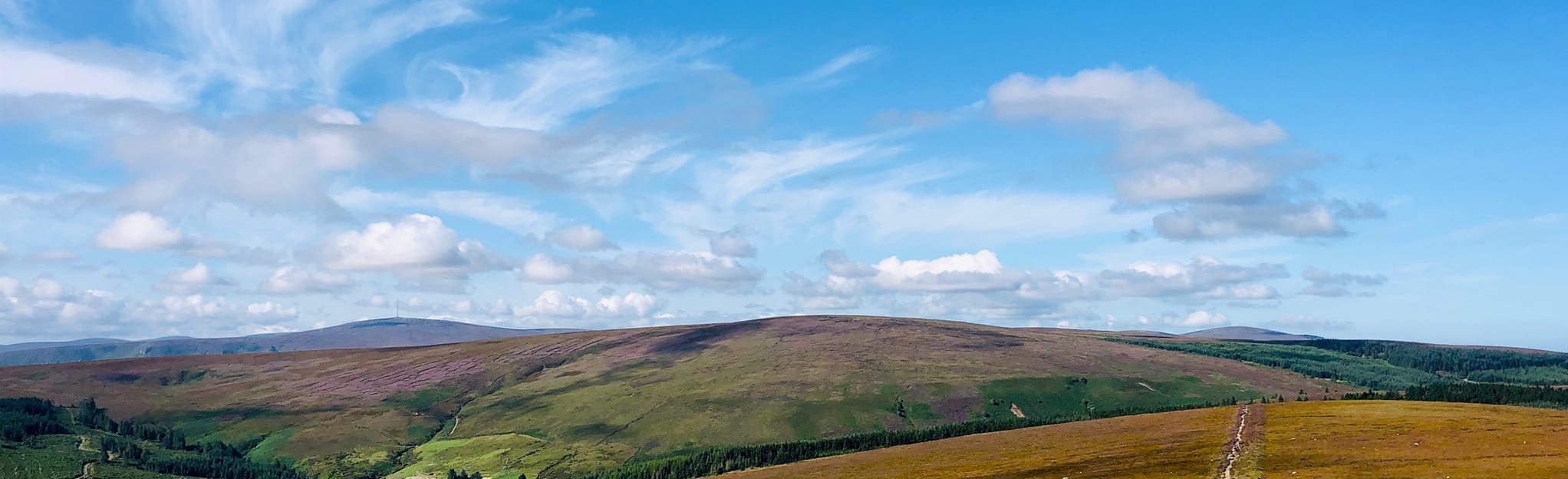 Kilmashogue and Ballyedmonduff Loop - Dún Laoghaire-Rathdown, Ireland ...