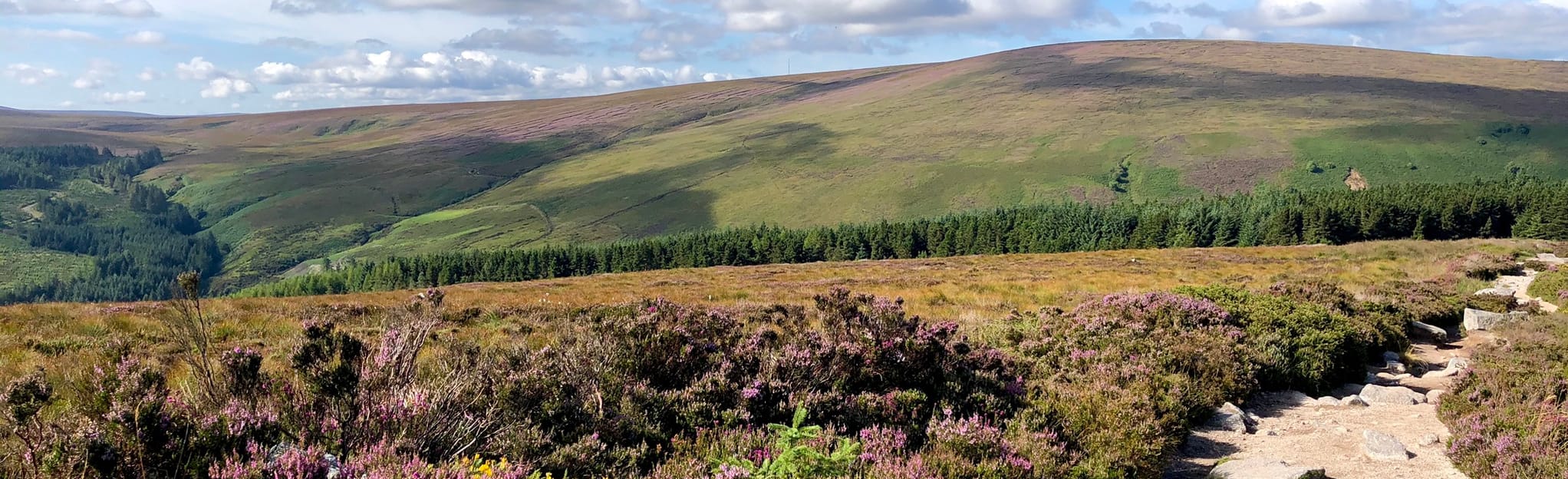 Two Rock Mountain and Tibradden Mountain Loop: 239 Reviews, Map ...