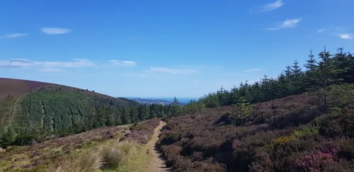10 Best Hikes and Trails in Wicklow Mountains National Park | AllTrails