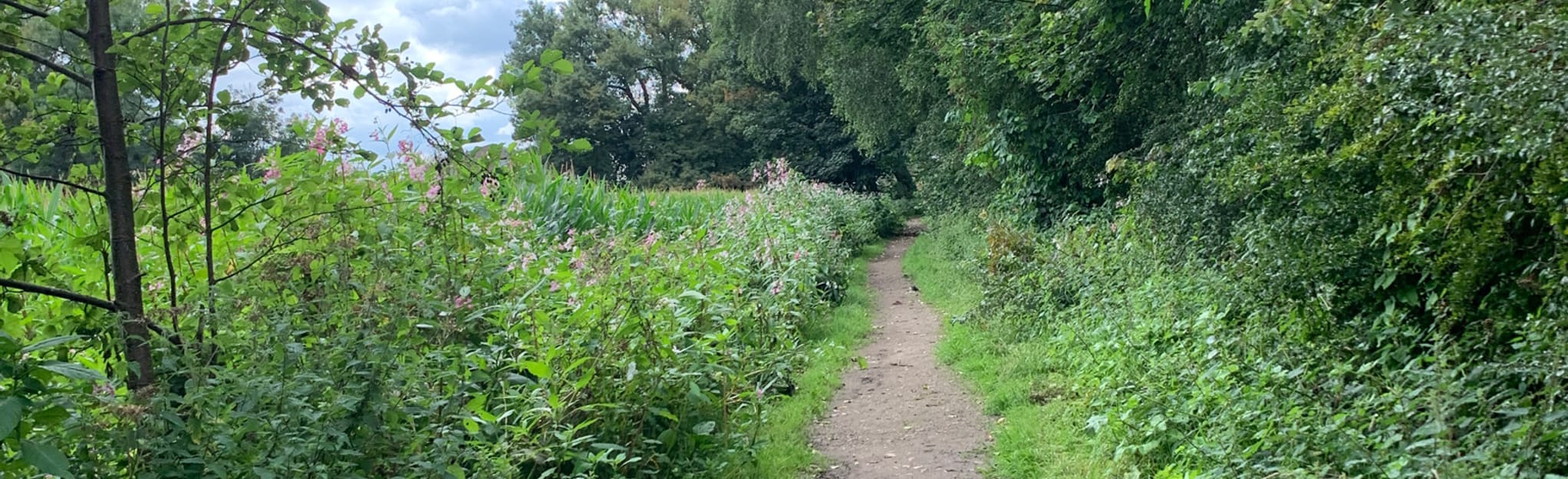 Stretford Meadows and Crossford Bridge Circular: 8 Reviews, Map ...