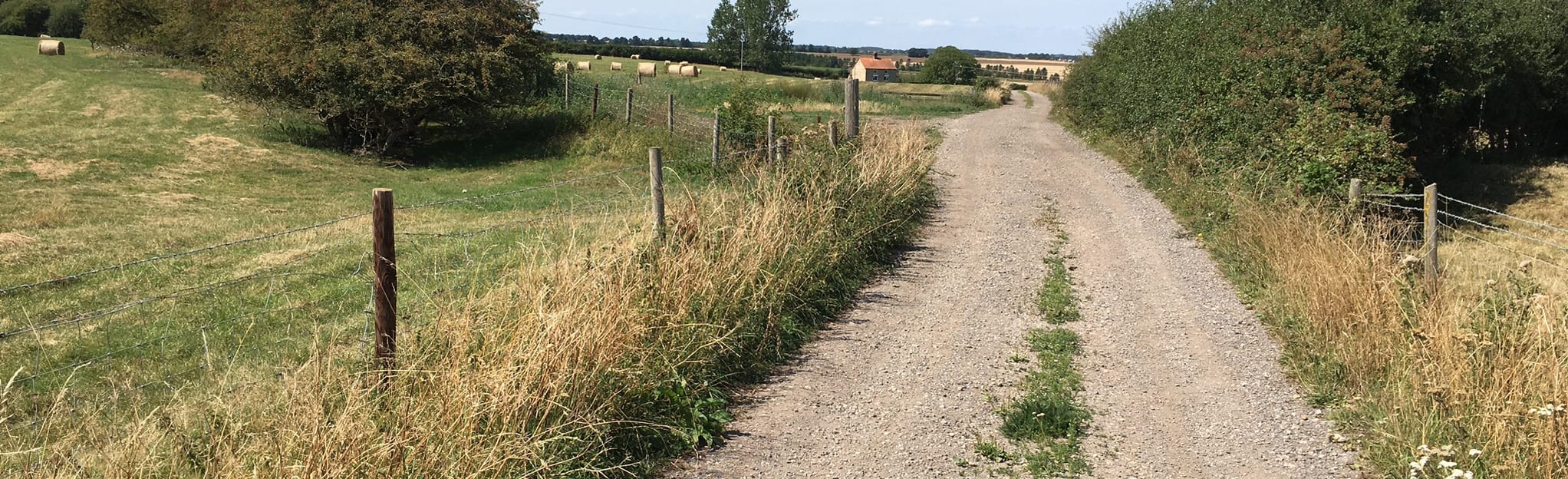 High Wood and North Rauceby Walk: 111 Reviews, Map - Lincolnshire ...