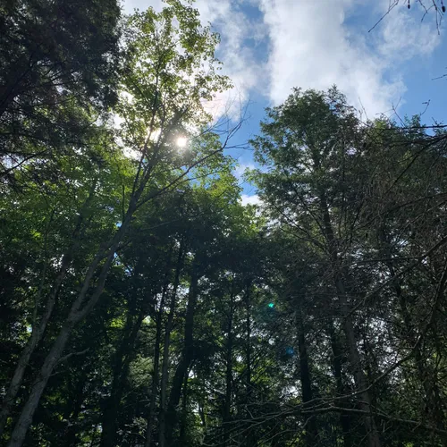 Best Hikes and Trails in Heiberg Memorial Forest | AllTrails