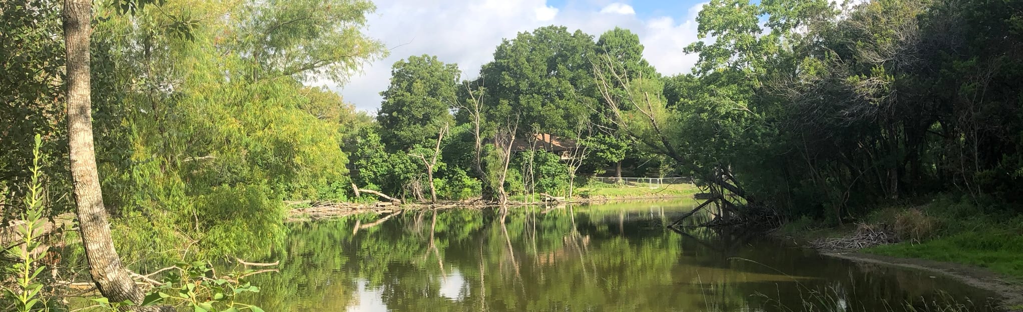 Copperfield Nature Trail, Texas - 577 Reviews, Map | AllTrails