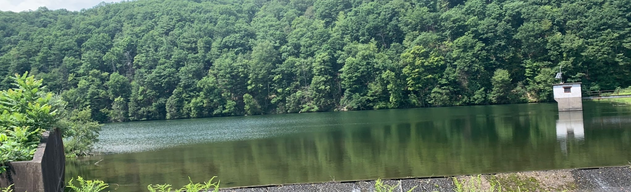 The Pine Towers Loop: 40 Reviews, Map - Pennsylvania | AllTrails