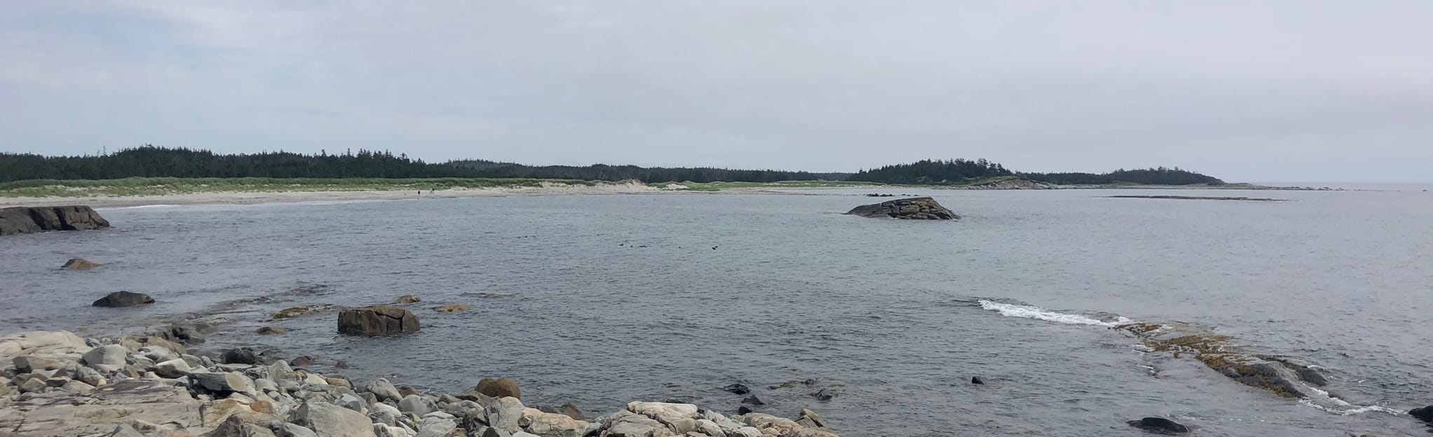 Tor Bay Trail: 6 Reviews, Map - Nova Scotia, Canada | AllTrails