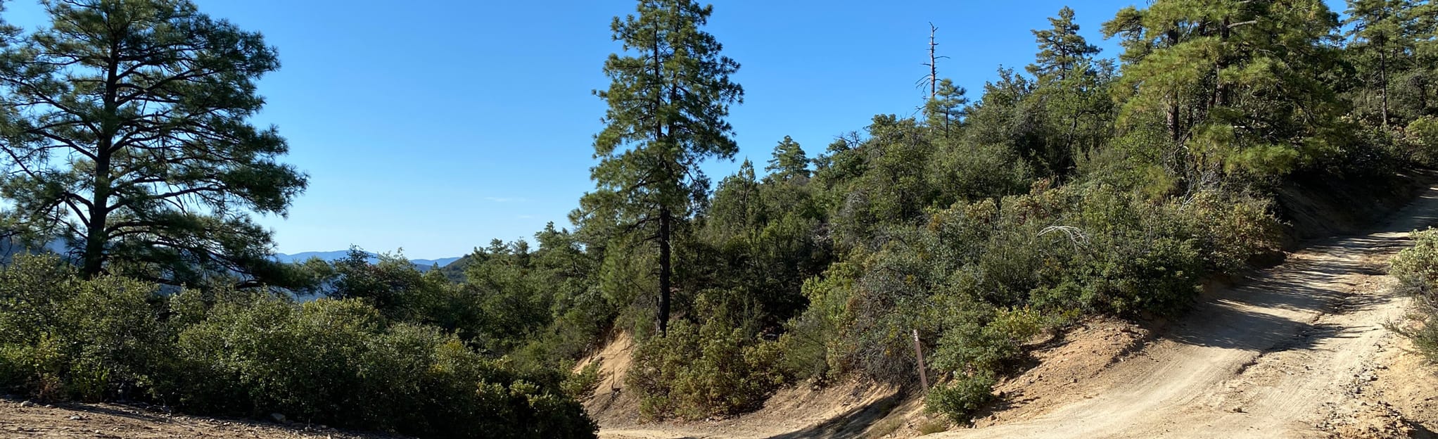 Cooper Creek Trail - Arizona | AllTrails