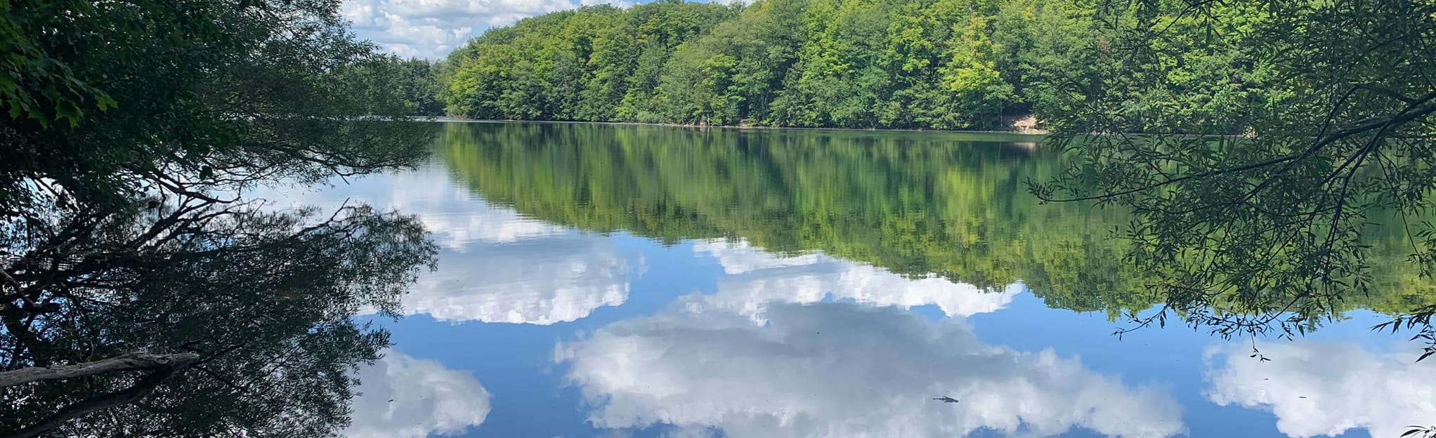 Gravel Cut Trail - Oak Ridges Trail - Bond Lake Loop | Map, Guide ...