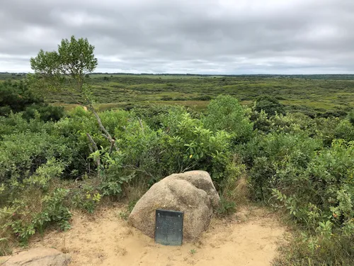 10 Best Trails and Hikes in Nantucket | AllTrails