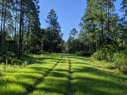 Best 10 Hiking Trails in Bayard Conservation Area | AllTrails