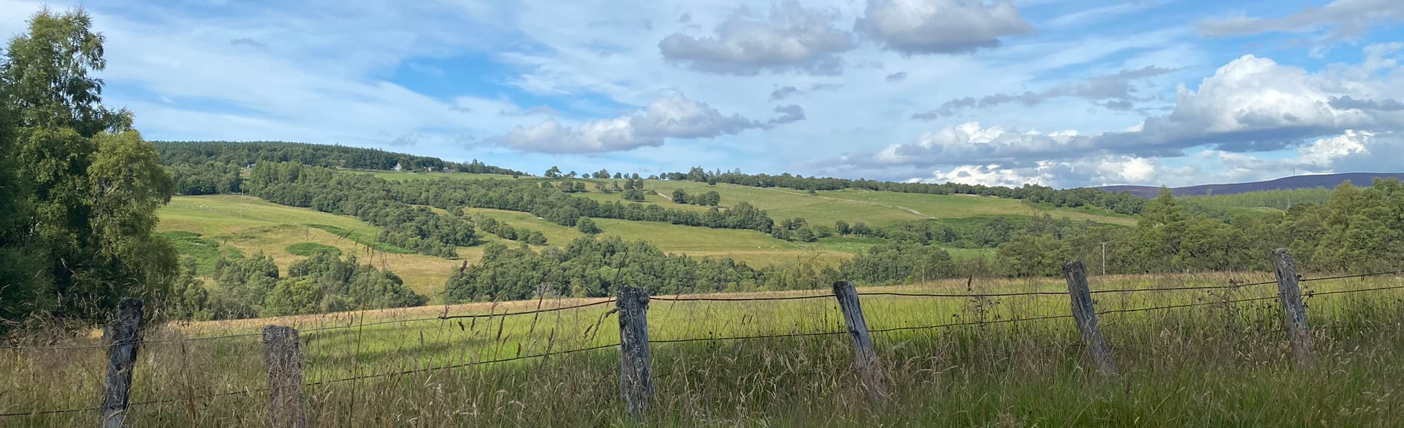 Dava Way, Highlands, Scotland - 14 Reviews, Map | AllTrails