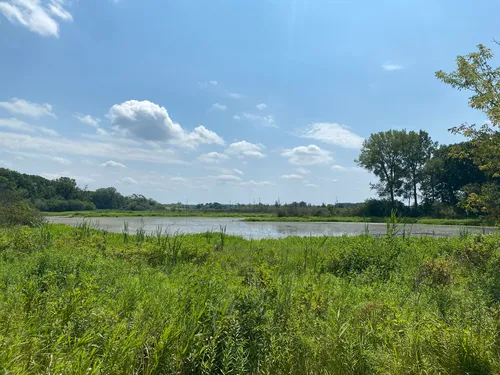 Best Hikes and Trails in Volo Bog State Natural Area | AllTrails