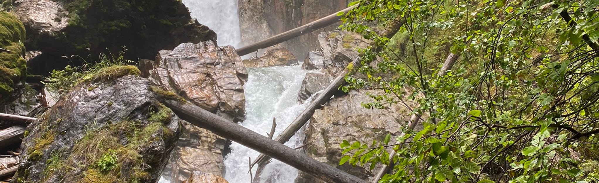 Begbie Falls, British Columbia, Canada - 121 Reviews, Map | AllTrails