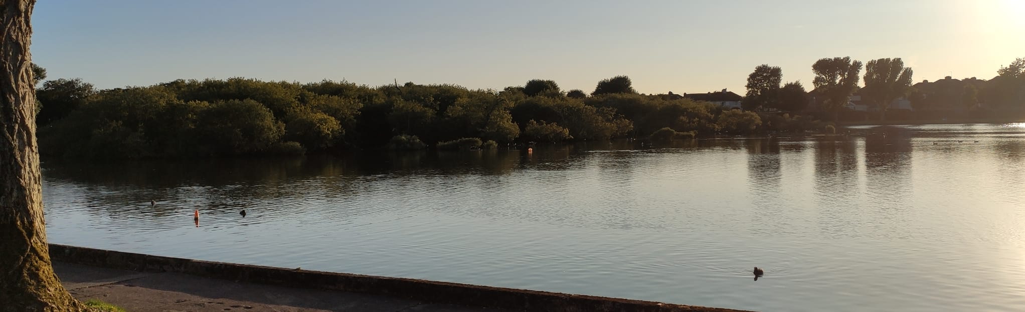 The Lough, County Cork, Ireland - 53 Reviews, Map | AllTrails
