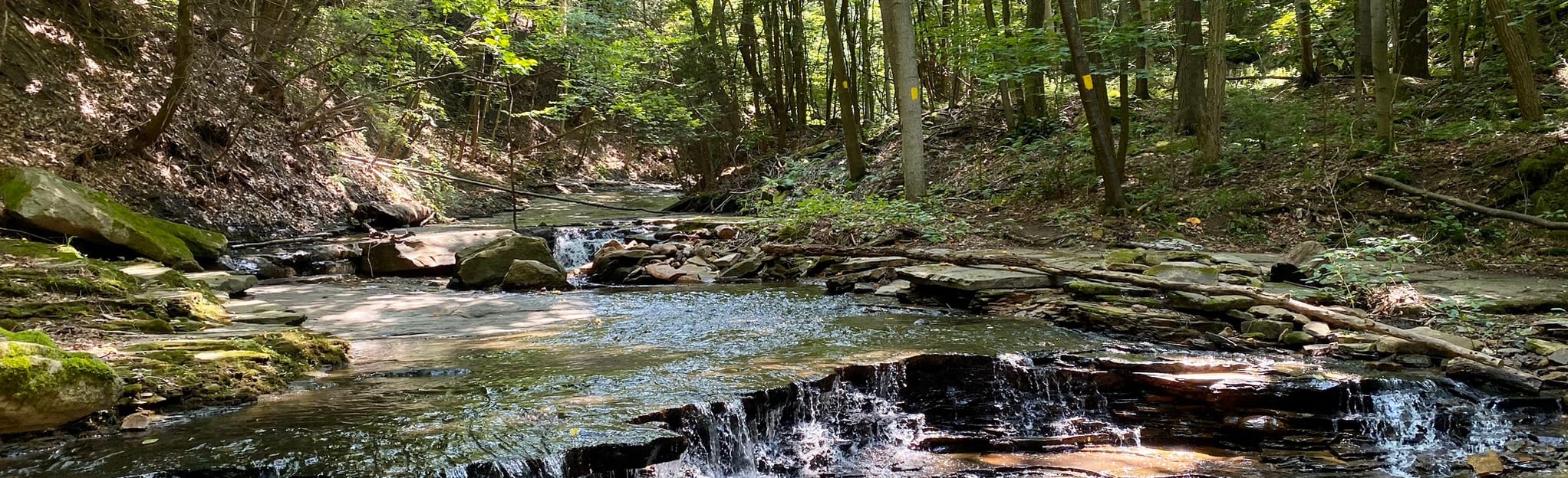 Turtle Falls Via Pathway to the Falls (Blue Trail), Pennsylvania - 119 ...
