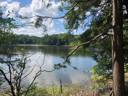 Los mejores senderos en Hallowell Reservoir Recreation Area | AllTrails