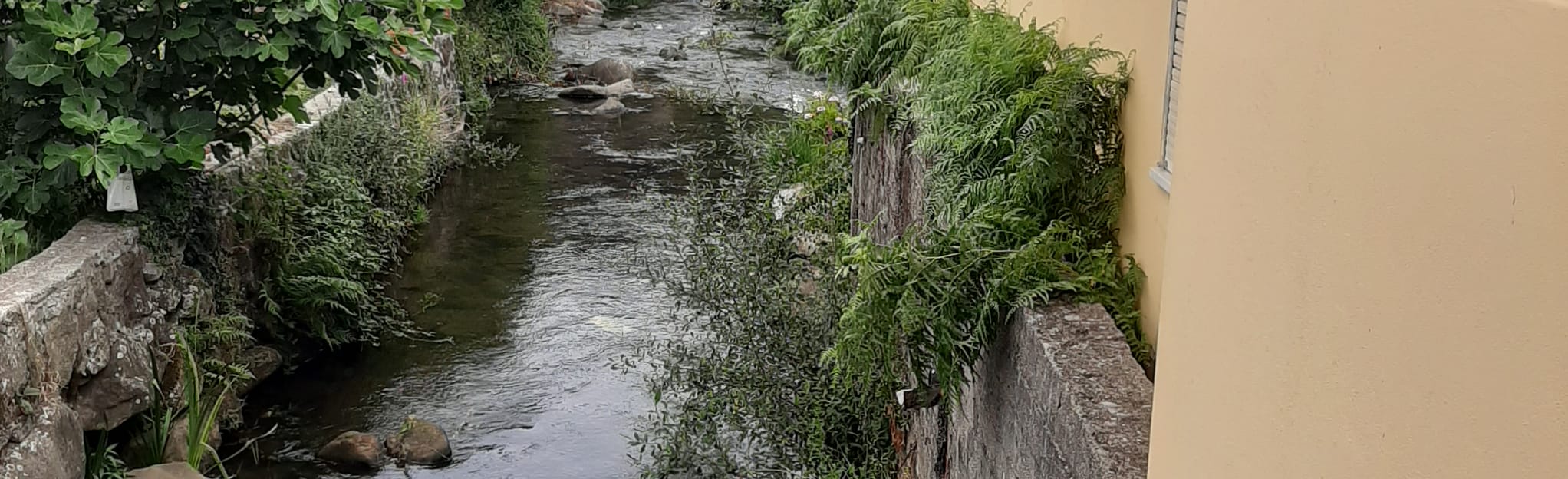 PR1 - Trilho do Rio Febros [CLOSED], Porto, Portugal - 9 Reviews, Map | AllTrails