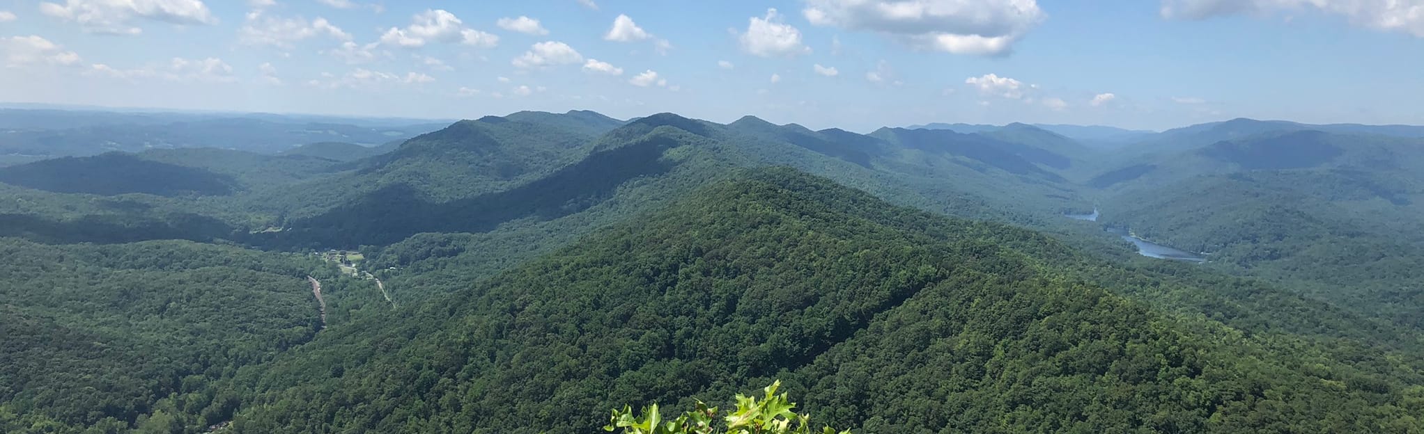 Pinnacle Overlook Trail, Tennessee - 184 Reviews, Map | AllTrails