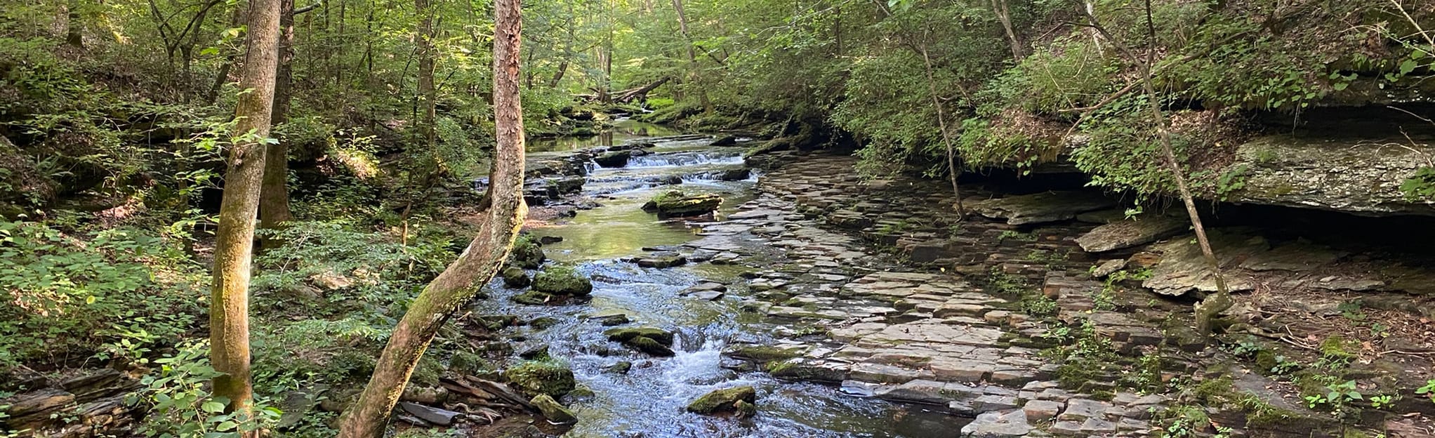 Machine Falls, Adams Falls, Busby Falls and Laurel Bluff Loop | Map ...