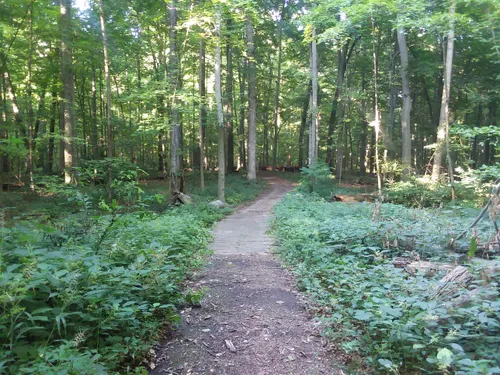 2023 Best No Dogs Trails in Greenwich | AllTrails