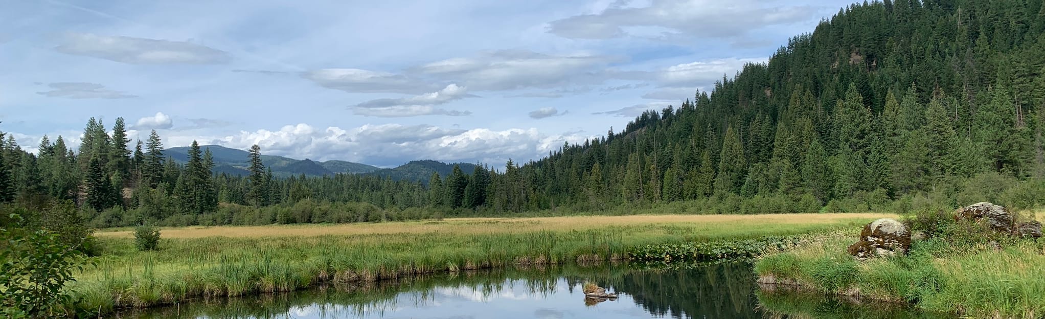 Rustlers Gulch via Holly Road Access: 167 Reviews, Map - Washington ...