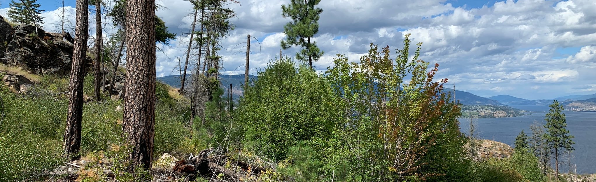 Divide Lake Trail, British Columbia, Canada - 75 Reviews, Map | AllTrails