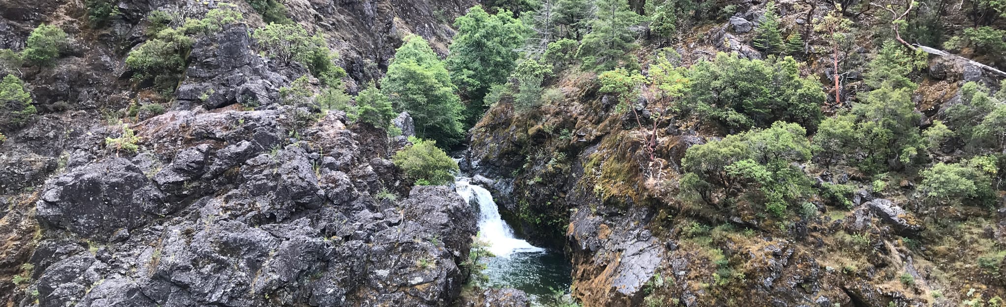 Wild Rogue Loop, Oregon - 25 Reviews, Map | AllTrails