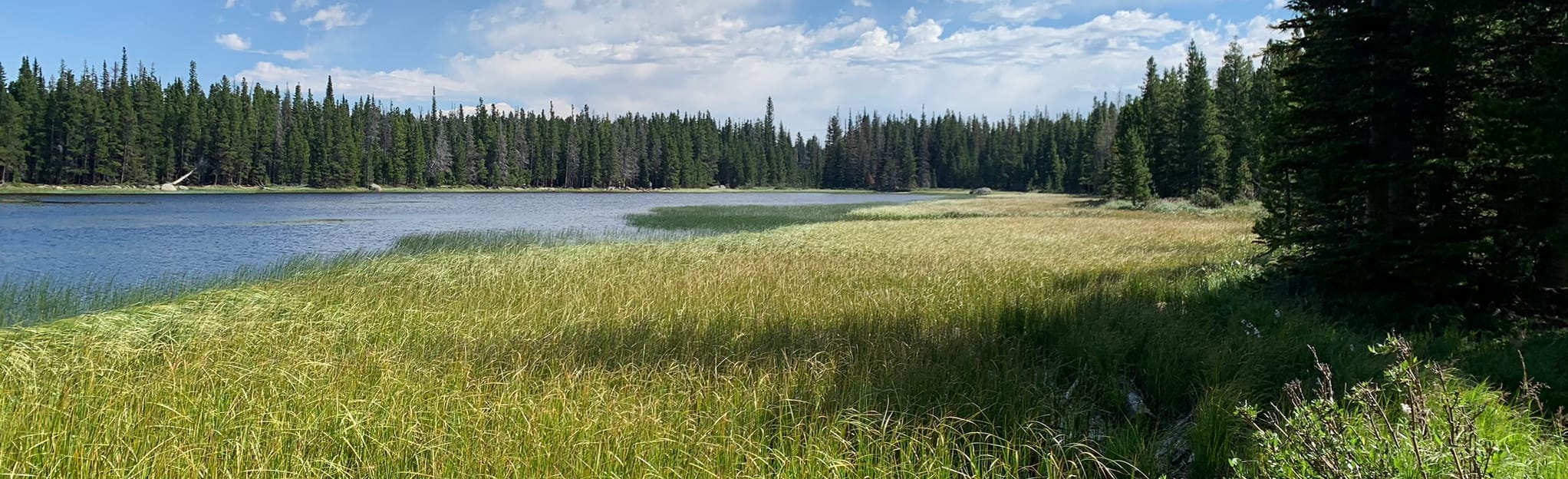 Bierstadt Lake via Bear Lake, Flattop Mountain, and Bierstadt Lake ...