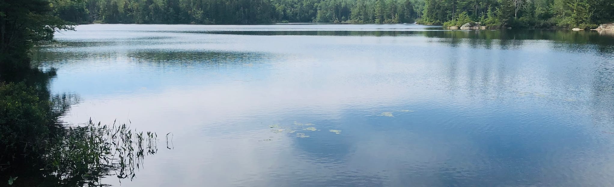 Smith Pond: 128 Reviews, Map - New Hampshire | AllTrails