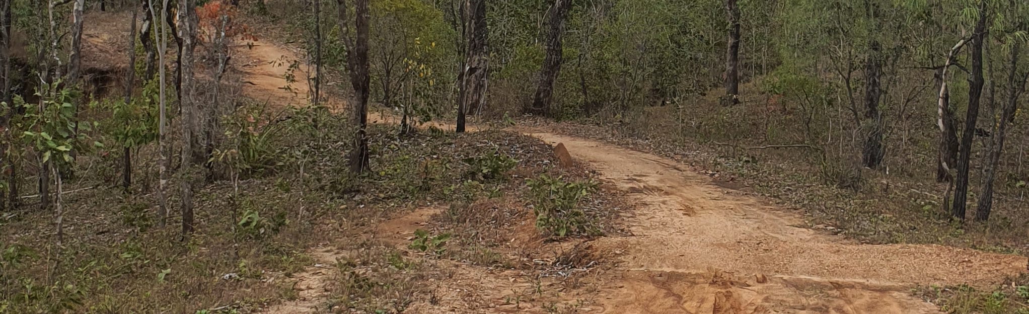 Twin Gullies, The Bone, Dingo Run, and Sawmill Flats, 59 Fotos ...