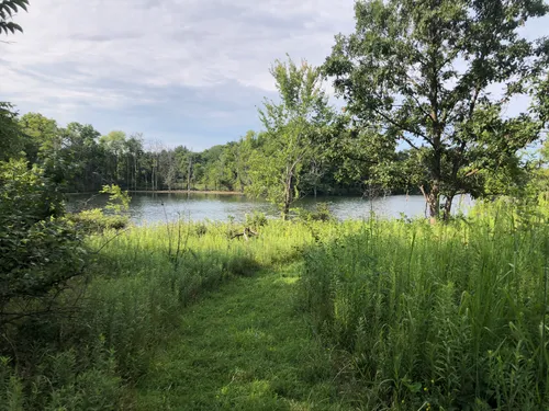 Best Hikes and Trails in Jim Edgar Panther Creek State Fish and ...