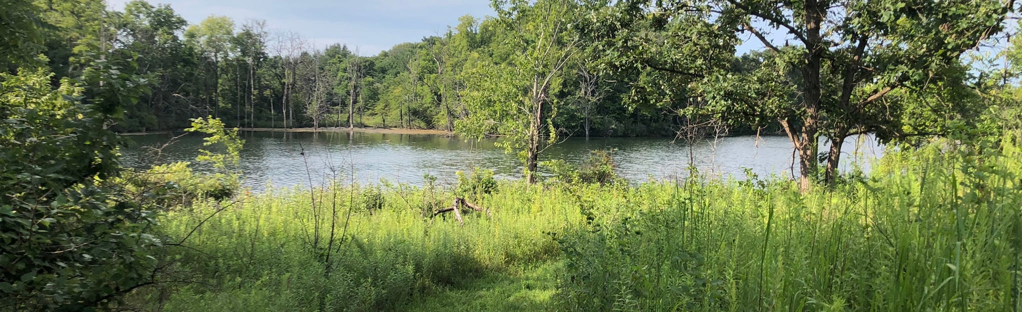Prairie Lake Trail, Illinois - 87 Reviews, Map | AllTrails