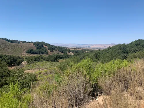 Best Hikes and Trails in Los Flores Ranch Park | AllTrails