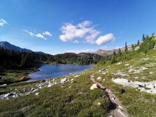Best Backpacking Trails in Pemberton Meadows | AllTrails