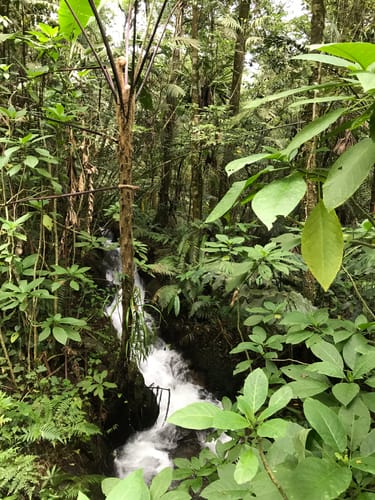 2023 Best 10 Trails, Walks, and Paths in West Java | AllTrails