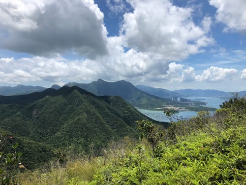 2023 Best 10 Trails, Walks, and Paths in Pak Tam Au | AllTrails