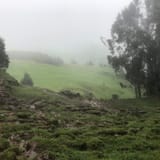 Mount Entoto Loop, Ethiopia - 2 Reviews, Map | AllTrails