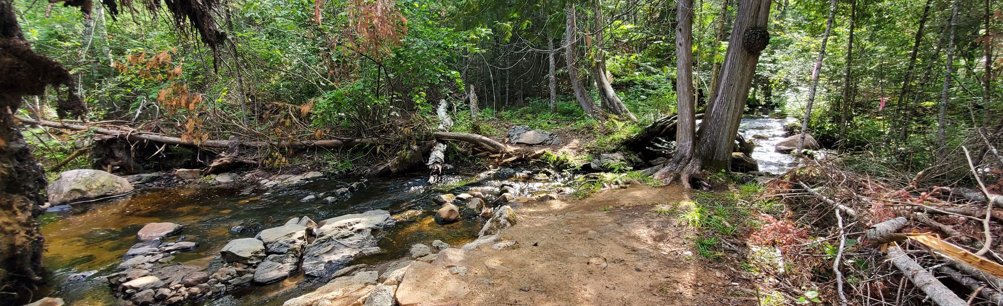 Hagar Mountain Trail Loop, Wisconsin - 277 Reviews, Map | AllTrails