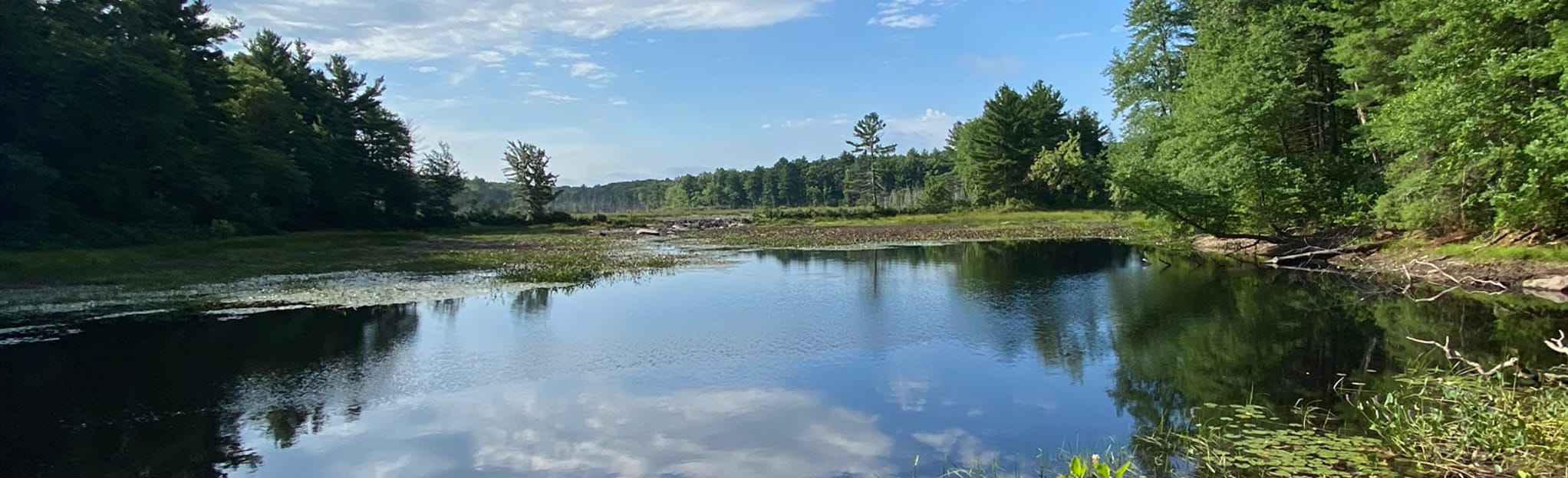 Ridge-Wallis-Mid State Trail | Map, Guide - Massachusetts | AllTrails