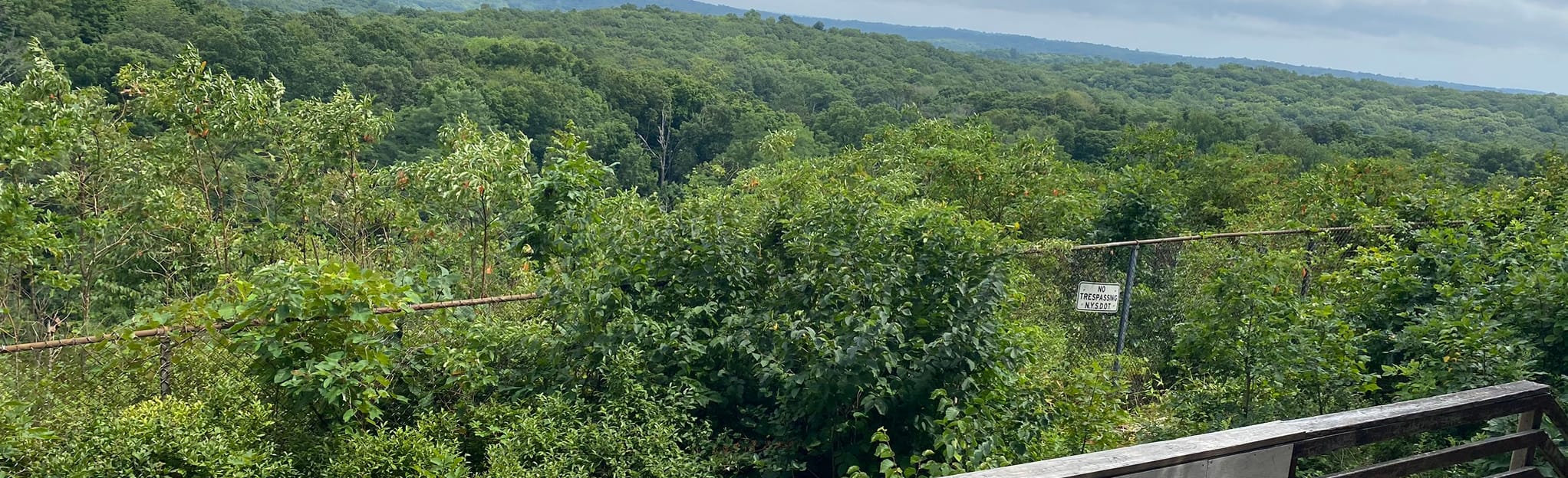 Byram Lake Blue Trail to Butler Sanctuary Hawk Stand | Map, Guide - New ...