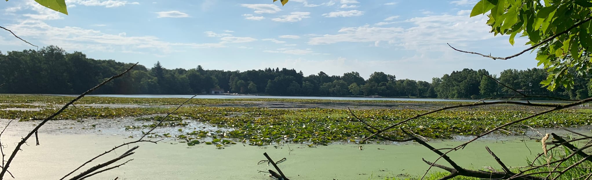 Addison Oaks County Park Loop, Michigan - 317 Reviews, Map | AllTrails