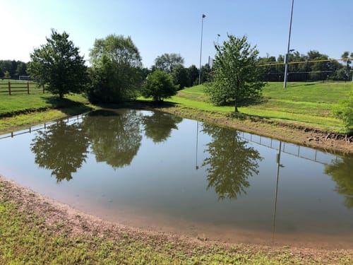 Best Hikes and Trails in Utica Park | AllTrails